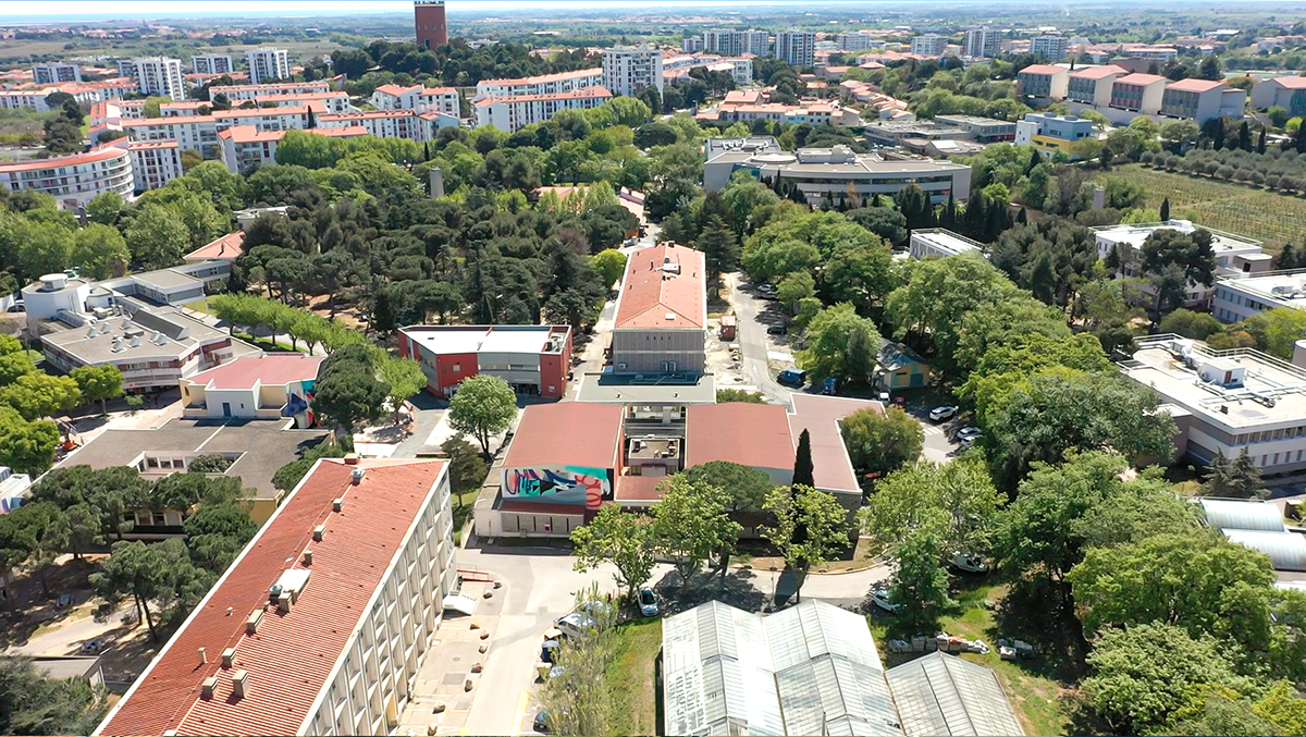 Campus Molí de Vent - Institut Franco Catalan Transfrontalier - IFCT